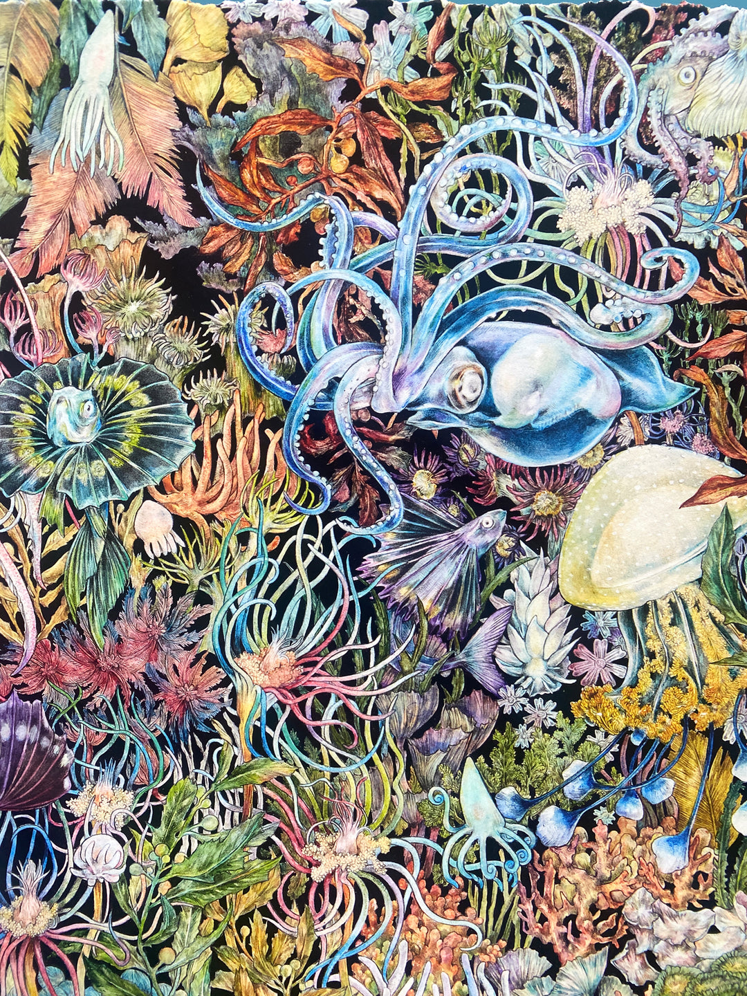 Shop Our Collection – Static Medium