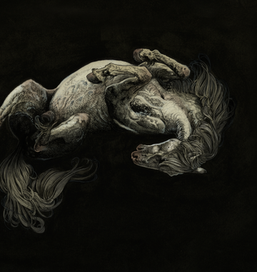 Our Products – Static Medium